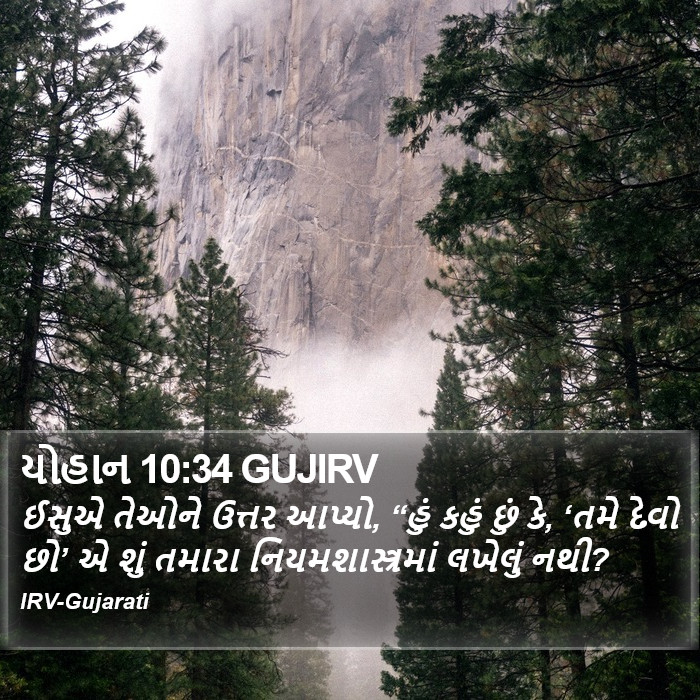 યોહાન 10:34 GUJIRV - ઈસુએ તેઓને ઉત્તર